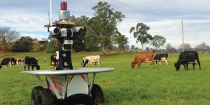 Impact of Smart Farming Using IoT in the Agricultural Sector - RayPCB